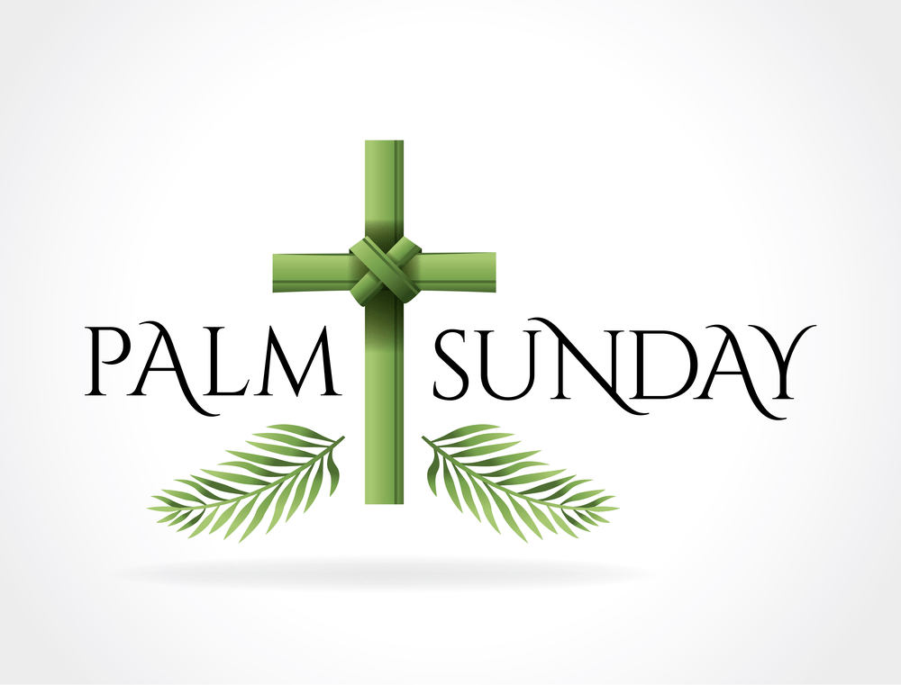 Online Mass – Palm Sunday of the Lord’s Passion | Sacred Heart Catholic ...
